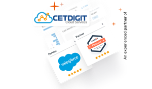 Expert HubSpot and Salesforce Solutions | Cetdigit